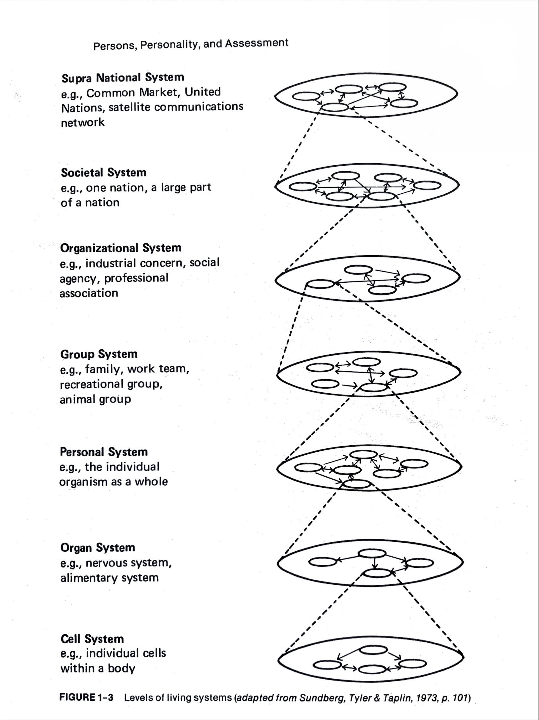 Människans olika system, IQ / Systems theory and intelligence ...